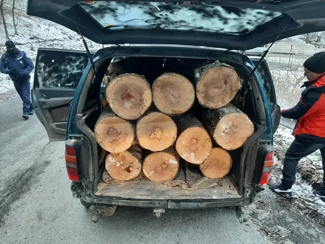 65 проверки направиха горските в Балчик и Генерал Тошево - България ...