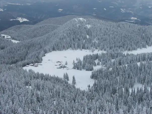 Кои са най-известните български песни за зимата? | Darik.bg