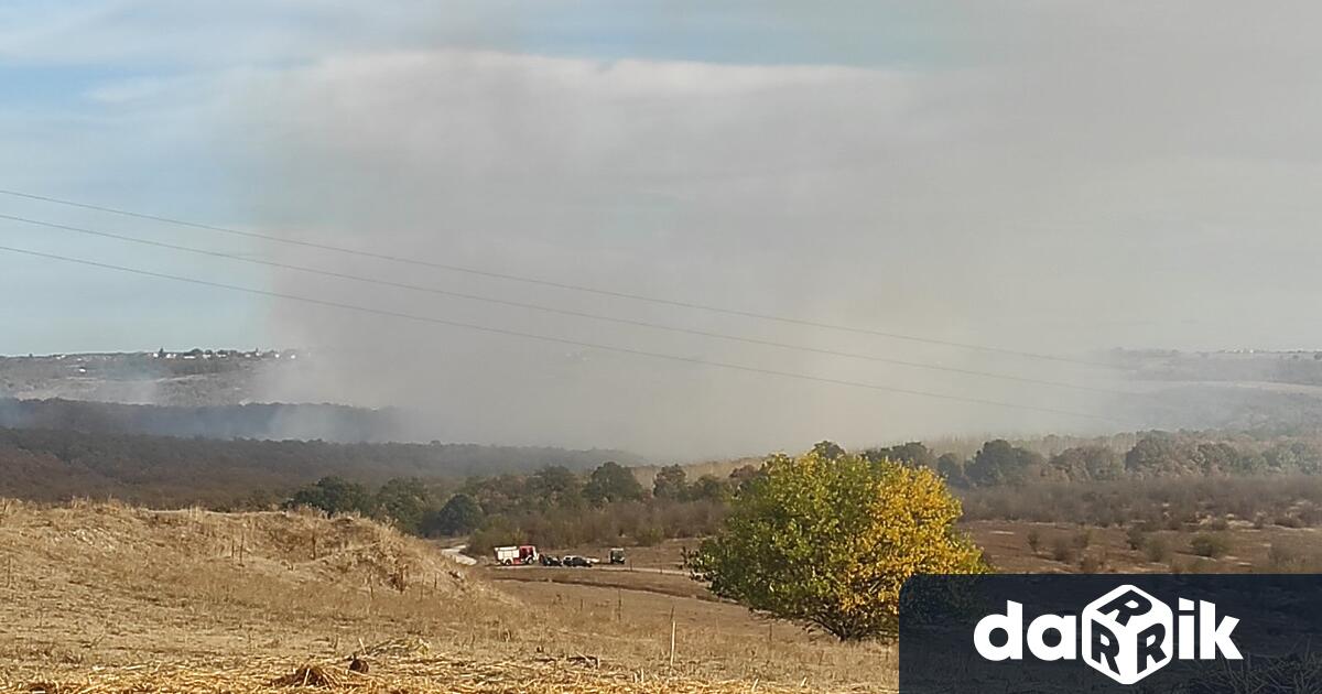 Пожар в гора край варненски села гори четвърти ден (СНИМКИ) | Darik.bg