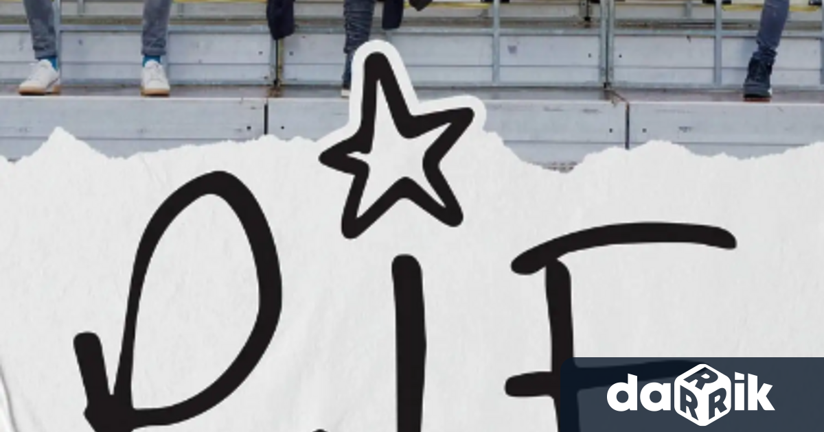 Ярката музикална енергия на група PIF | Darik.bg