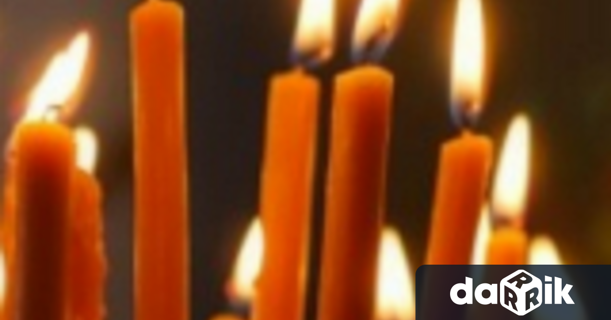 20 ноември - световен ден | Darik.bg