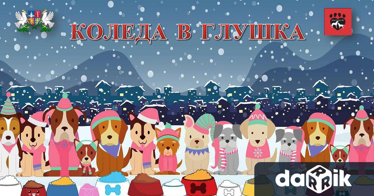 Коледна кампания за живот | Darik.bg