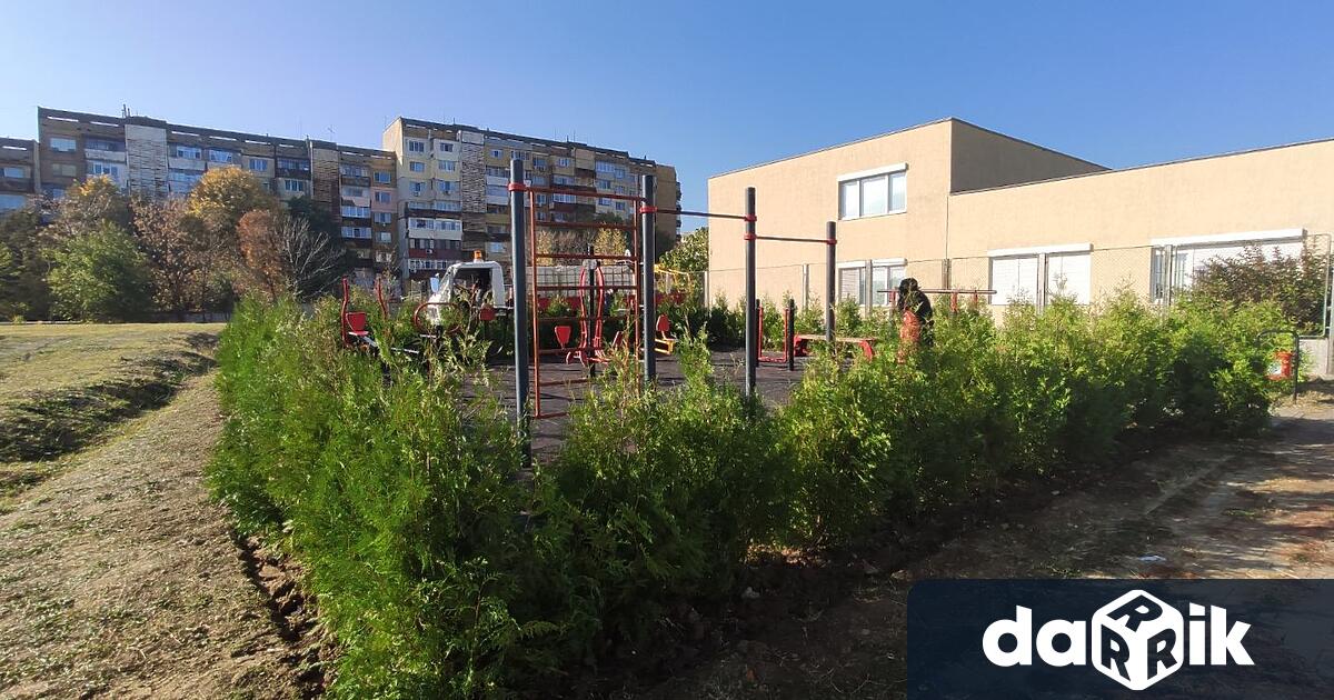 Започна тазгодишната общинска програма за залесяване | Darik.bg