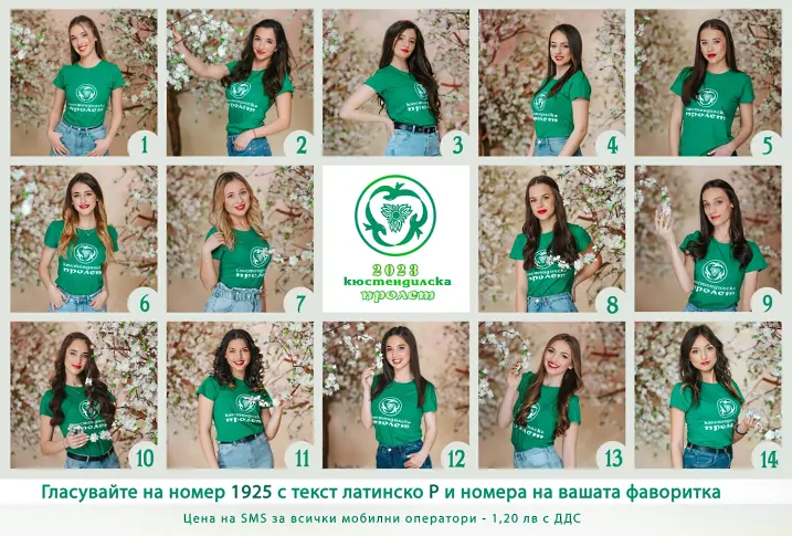 14 са претендентките за титлата "Девойка Кюстендилска пролет“ 2023 | Darik.bg