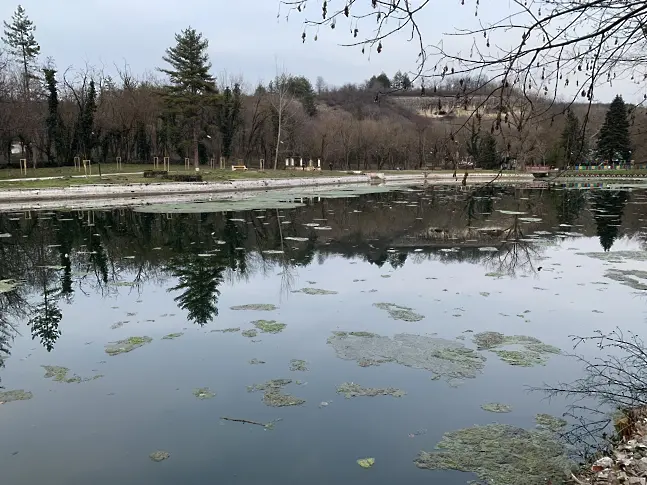 Община Плевен предприема мерки за спасяване на Езерото с лодките от заблатяване Darik Bg