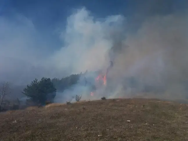 МВР-Варна напомня: От 200 лева започва глобата за палене на открит огън в горите | Darik.bg