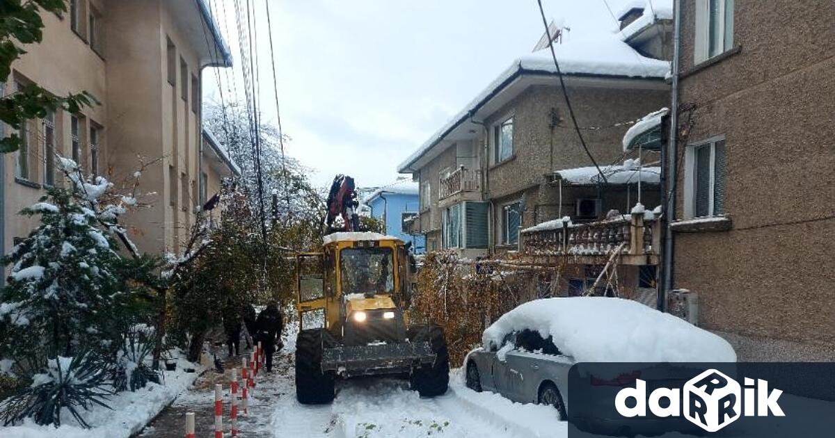 Кметът Даниел Панов обяви 27-и ноември за неучебен ден за училищата | Darik.bg