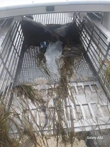 Проведе се първата инициатива по проект за намаляване на морските отпадъци в Поморие | Darik.bg