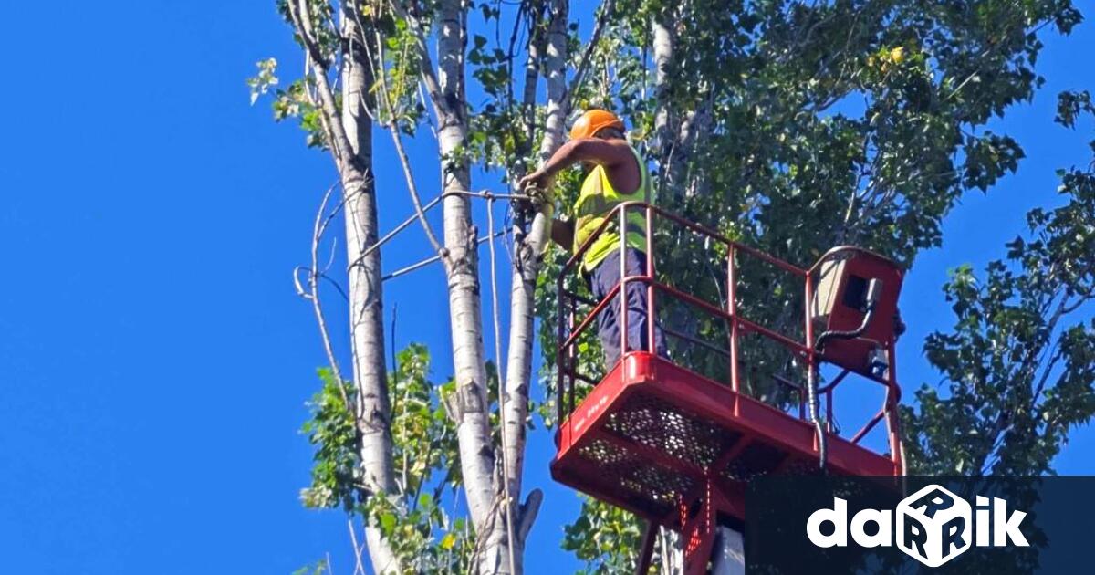 Удължават със седмица ограничението на движението по част от ул. „Дойран“ заради планирано ...