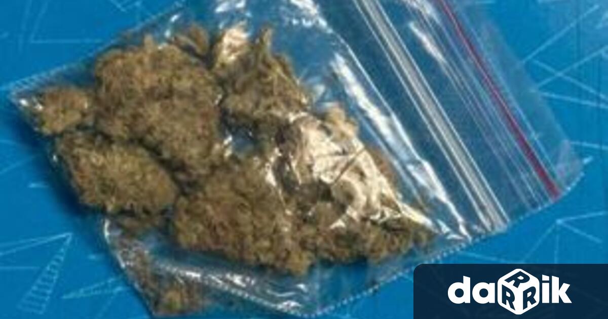 Арестуваха 19-годишна видин | Darik.bg