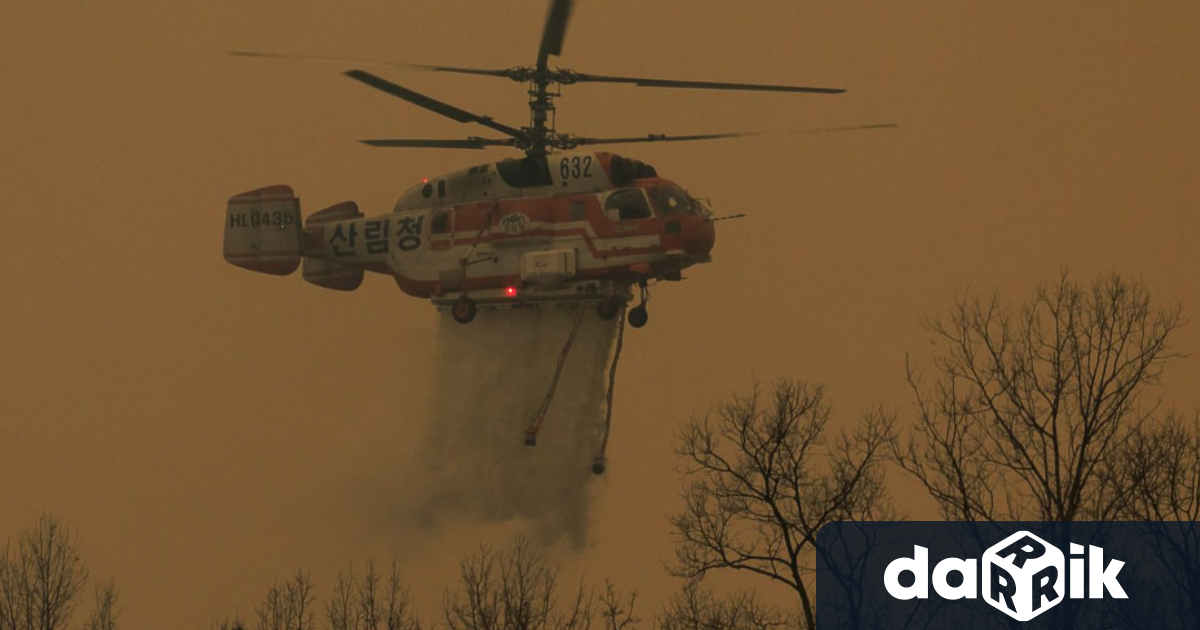 Смъртоносни пожари в Южна Корея, най-малко 18 загинаха (СНИМКИ И ВИДЕО) | Darik.bg
