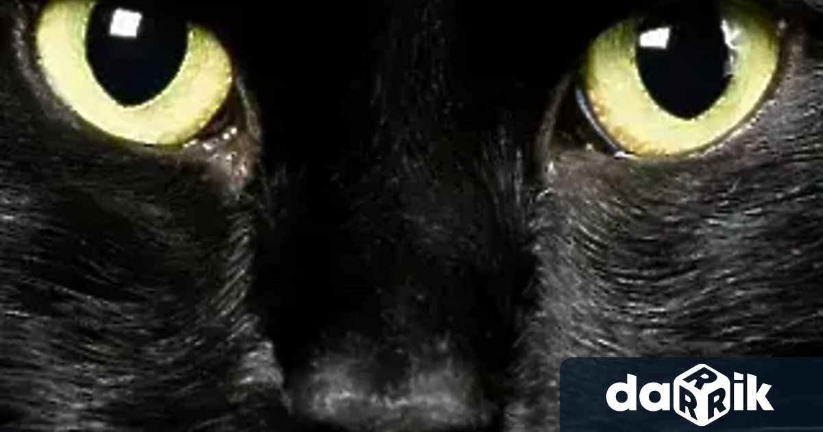 Злокобни събития, случили се точно на петък 13-ти - някои очакват и края на света | Darik.bg