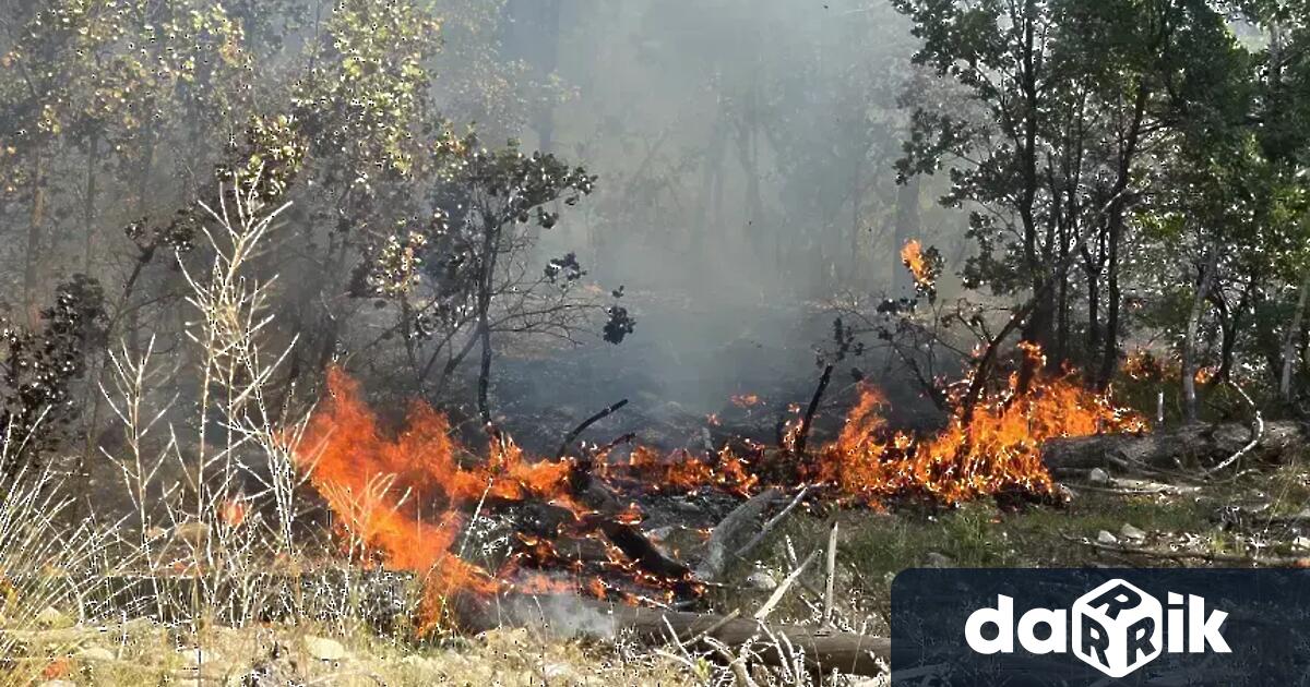 18-годишен подпали пожар в Безмер заради неуредени финансови взаимоотношения | Darik.bg