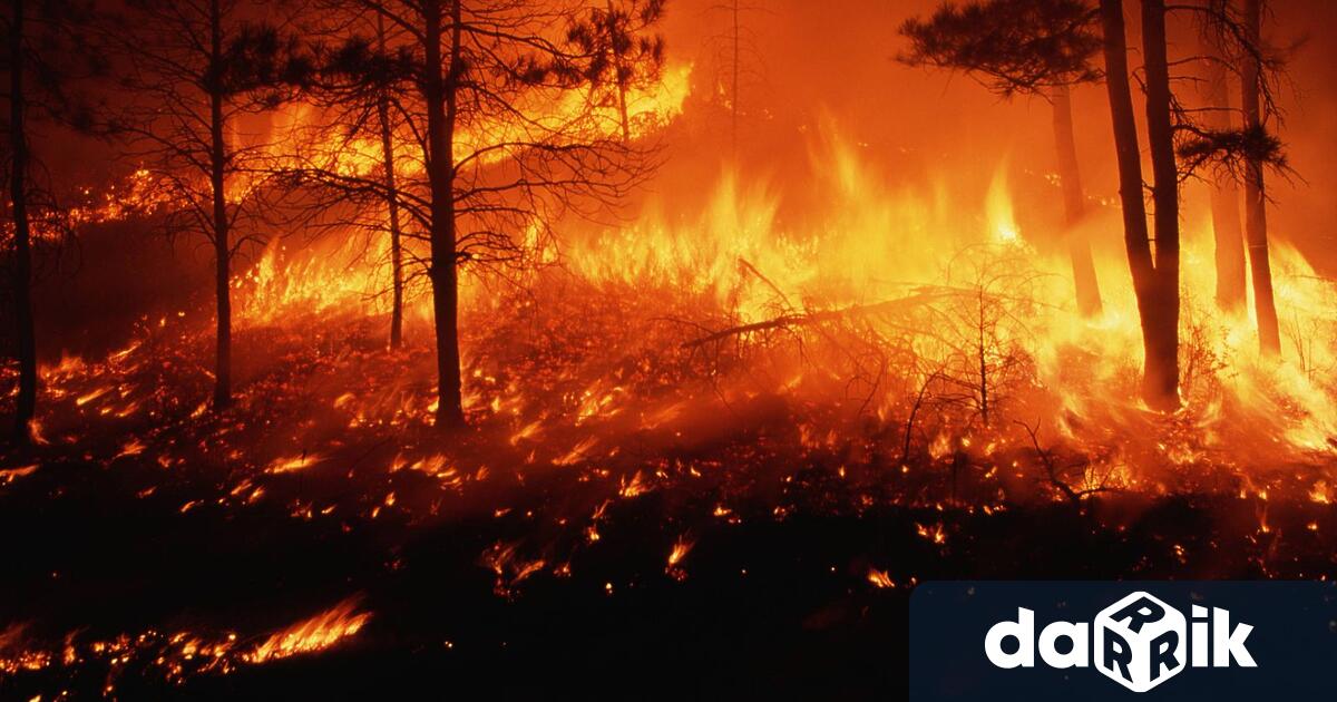 Тревожно: Ето на кое място е България по брой пожари в Европа | Darik.bg