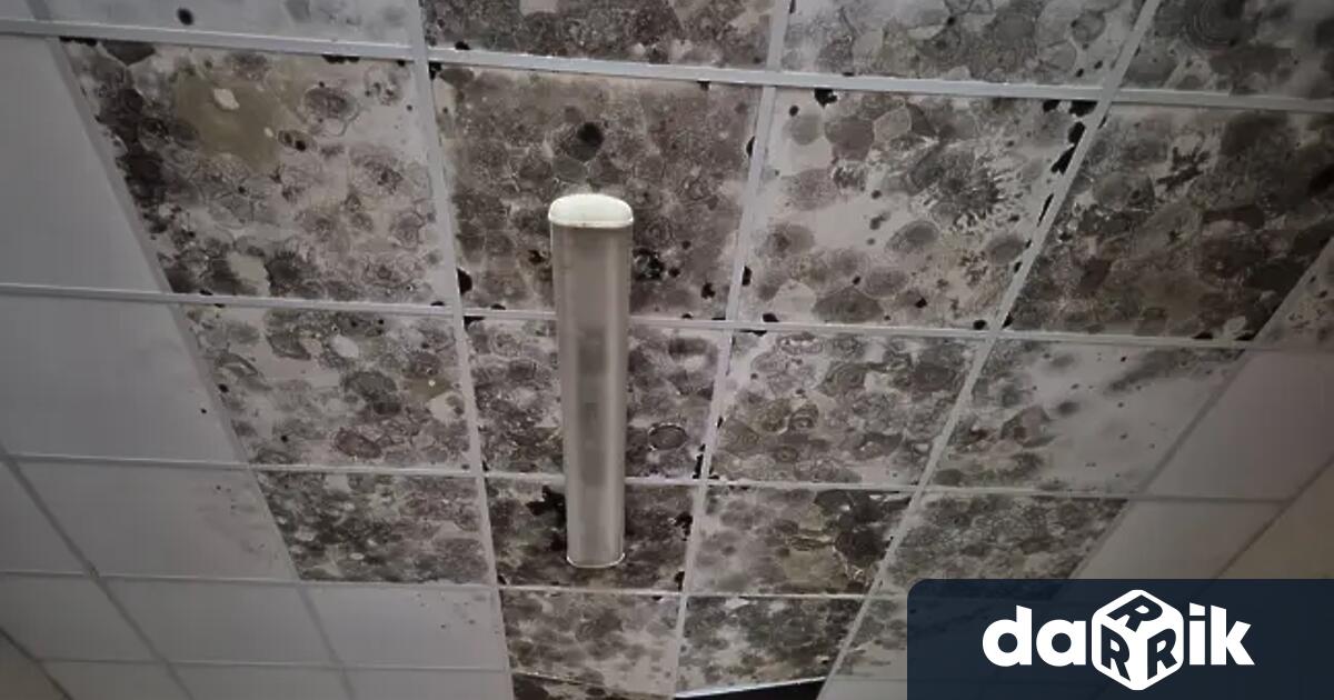 Проверяват нередности при обществена поръчка в психиатрията в Севлиево ...